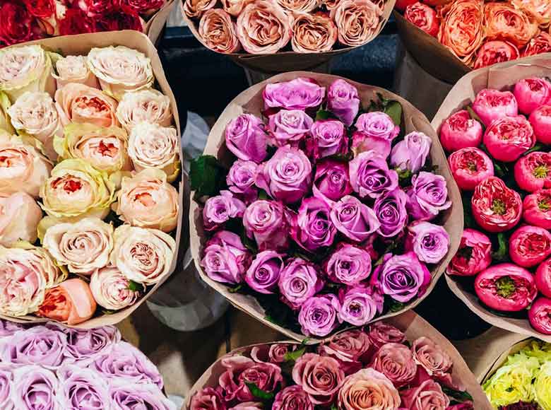 Perishable Goods - oodara.co.id